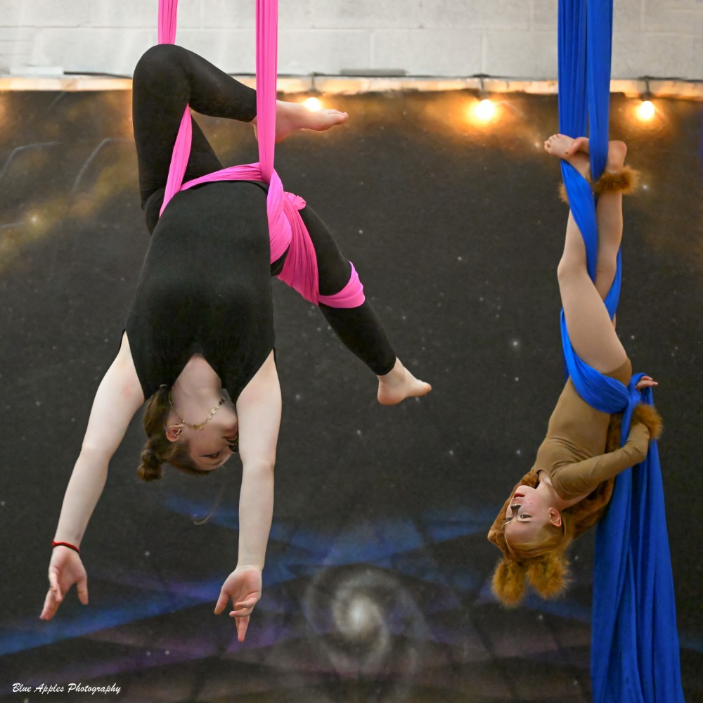 Circus Summer Camps Summer Camps | My Kid Camp